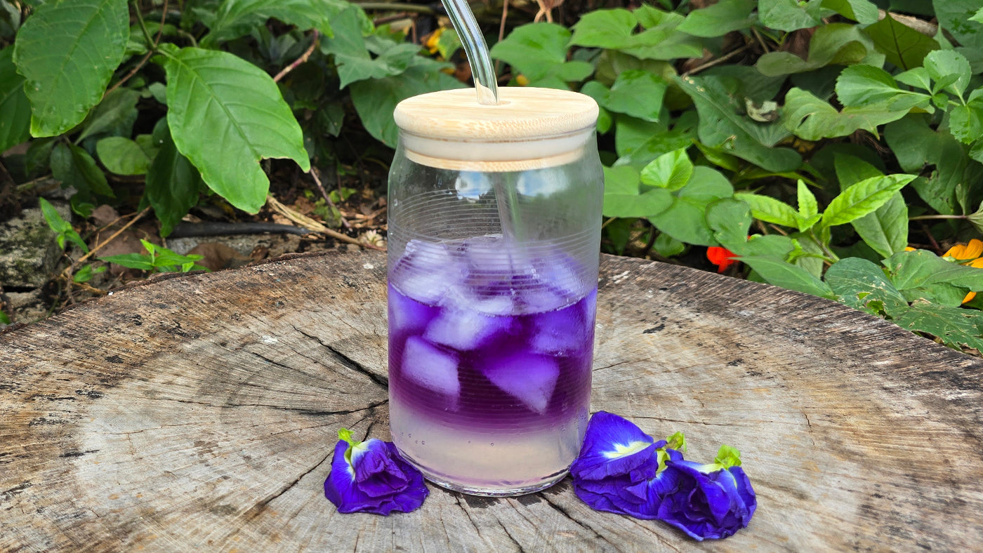 Blue Japanese Lemon Sour Alcoholic Drink Recipe Using Thai Blue ...