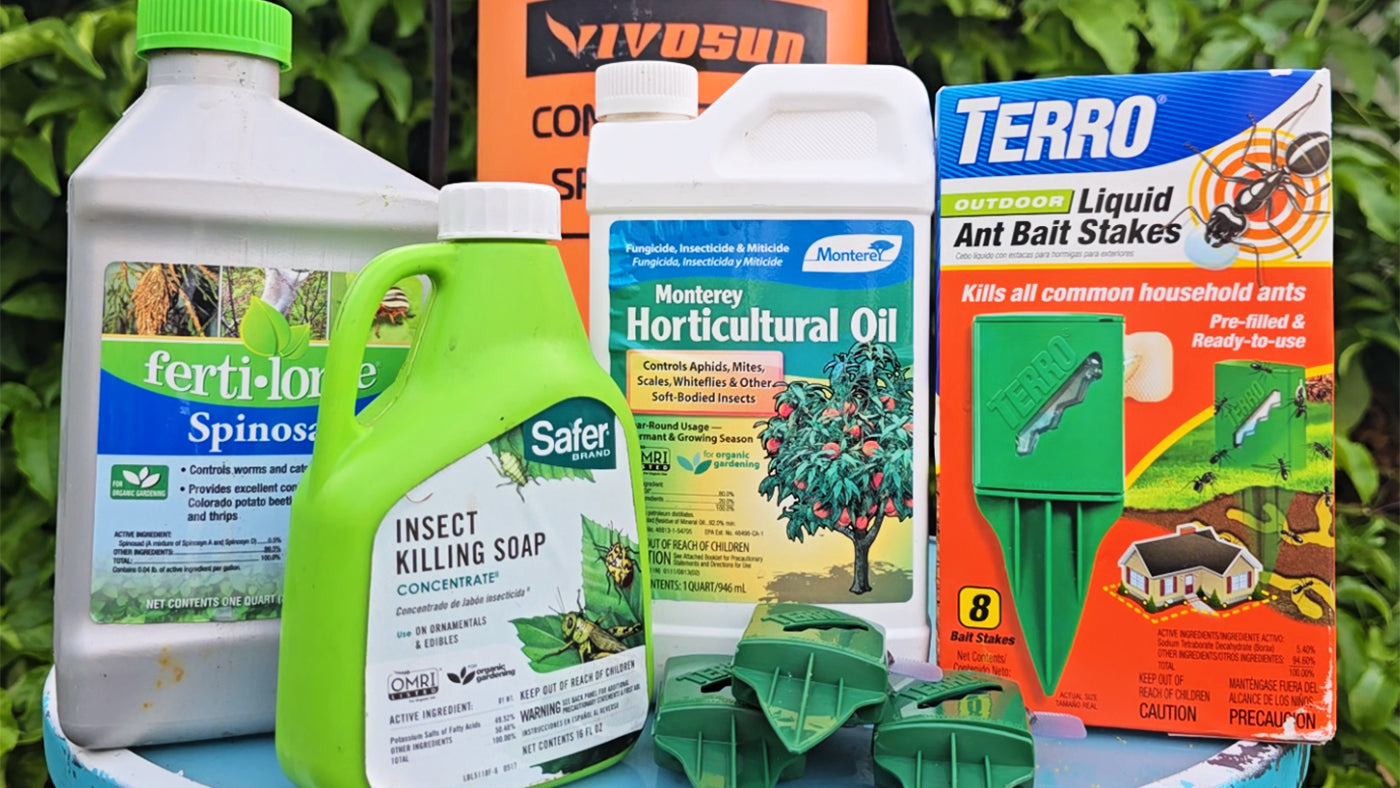 How to Choose the Right Organic Pest Treatment Based on Pest Type ...