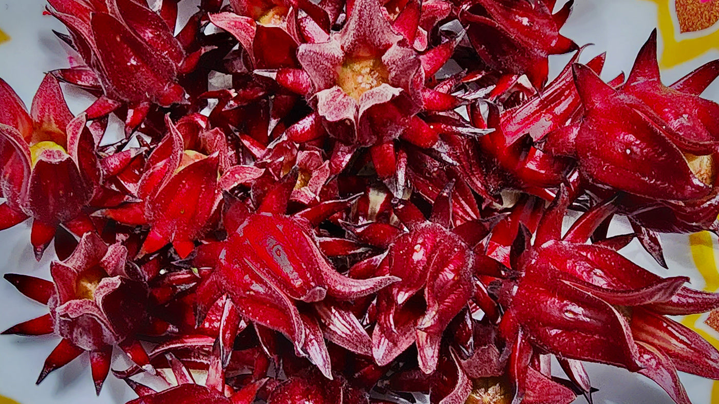 Roselle Recipes - Lots of recipe ideas using roselle calyxes – Jerra's ...