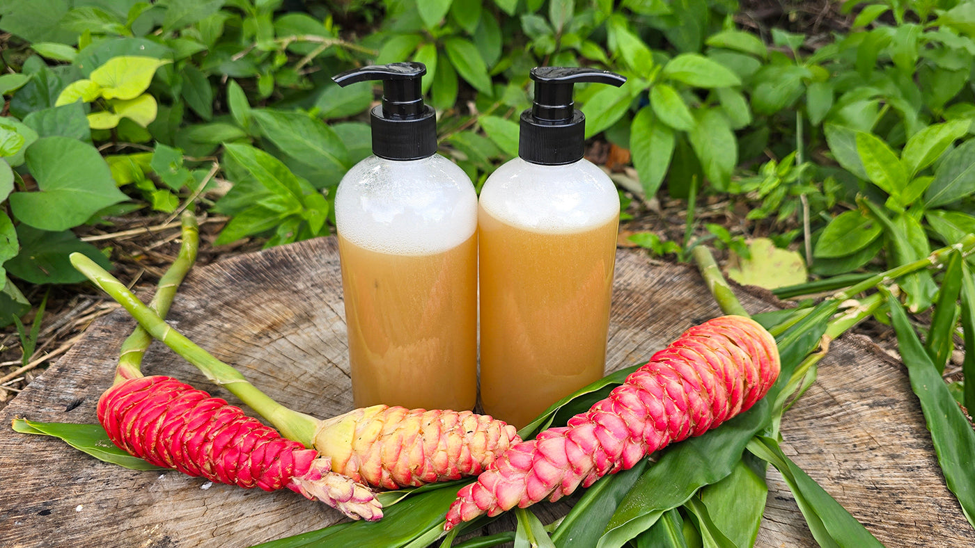 DIY Shelf-Stable Shampoo Ginger Hair Shampoo Recipe – Jerra's Garden