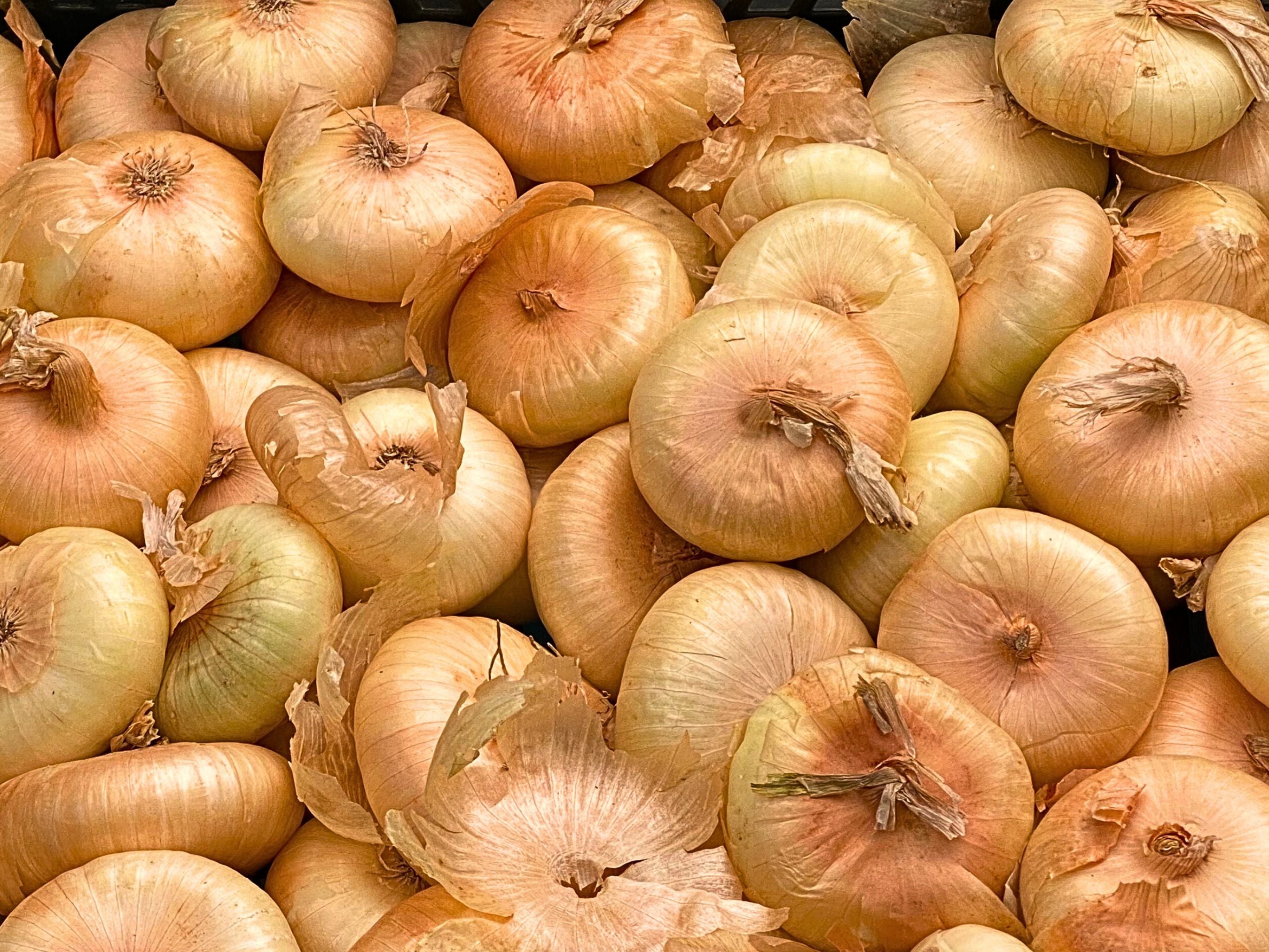 Borettana Yellow Cipollini Short Day Onion Seeds – Jerra's Garden