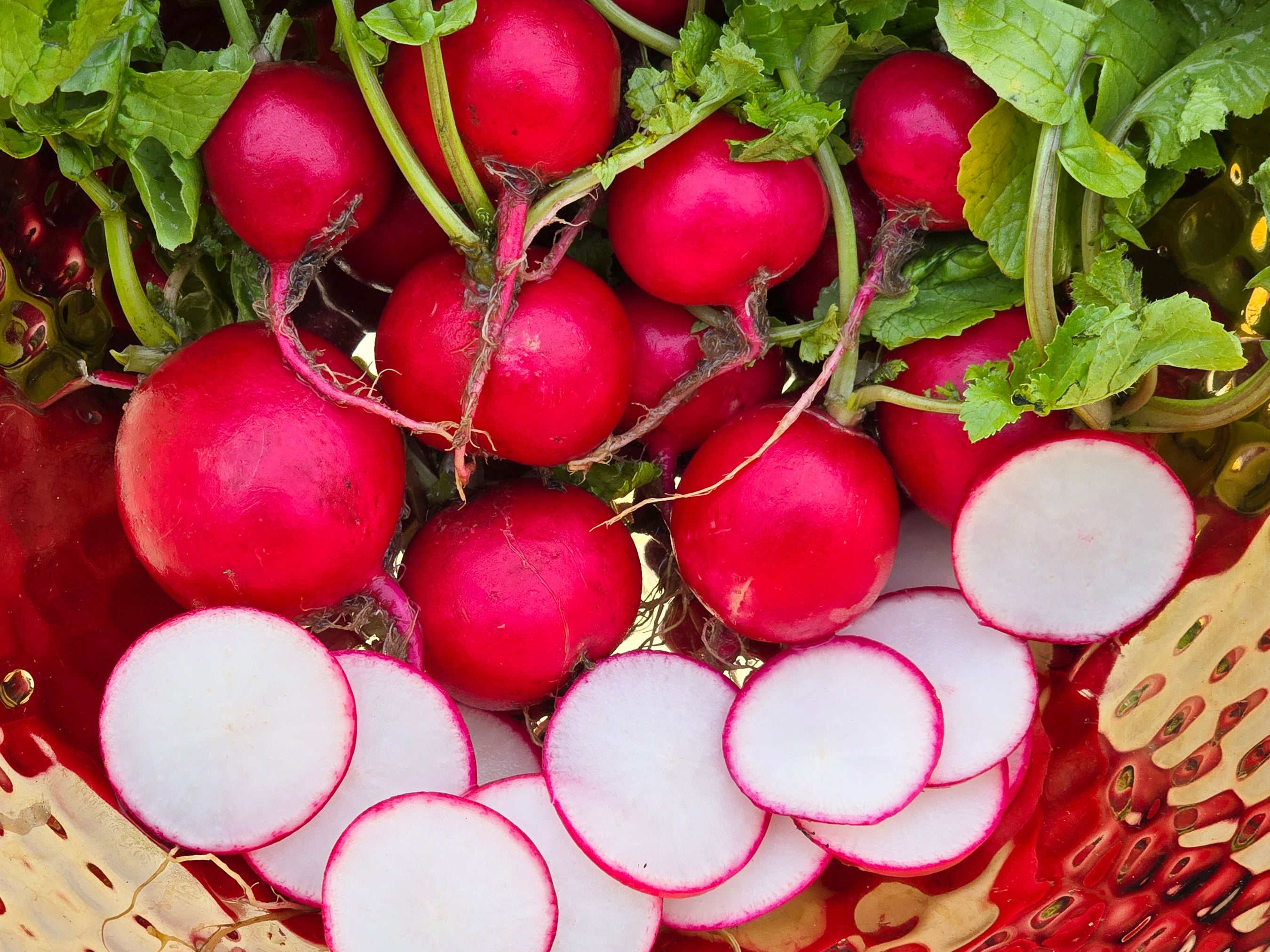Cherry Belle Radish Seeds – Crisp, Quick & Easy to Grow – Jerra's Garden