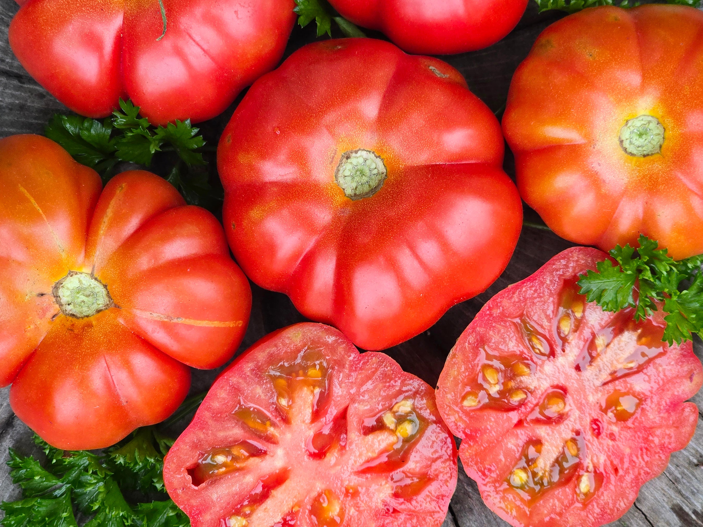 Costoluto Genovese Tomato – Ribbed Italian Heirloom Seeds – Jerra's Garden