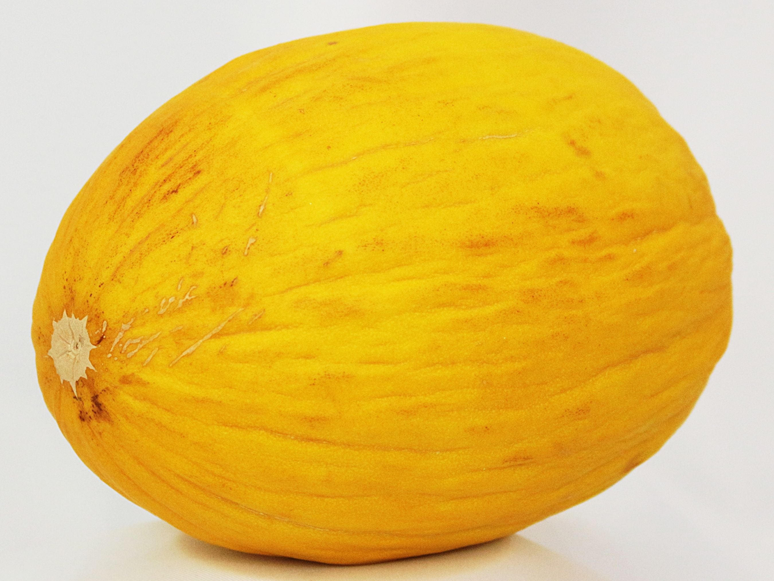 Canary Melon Seeds – Sweet Heirloom Juane Variety – Jerra's Garden