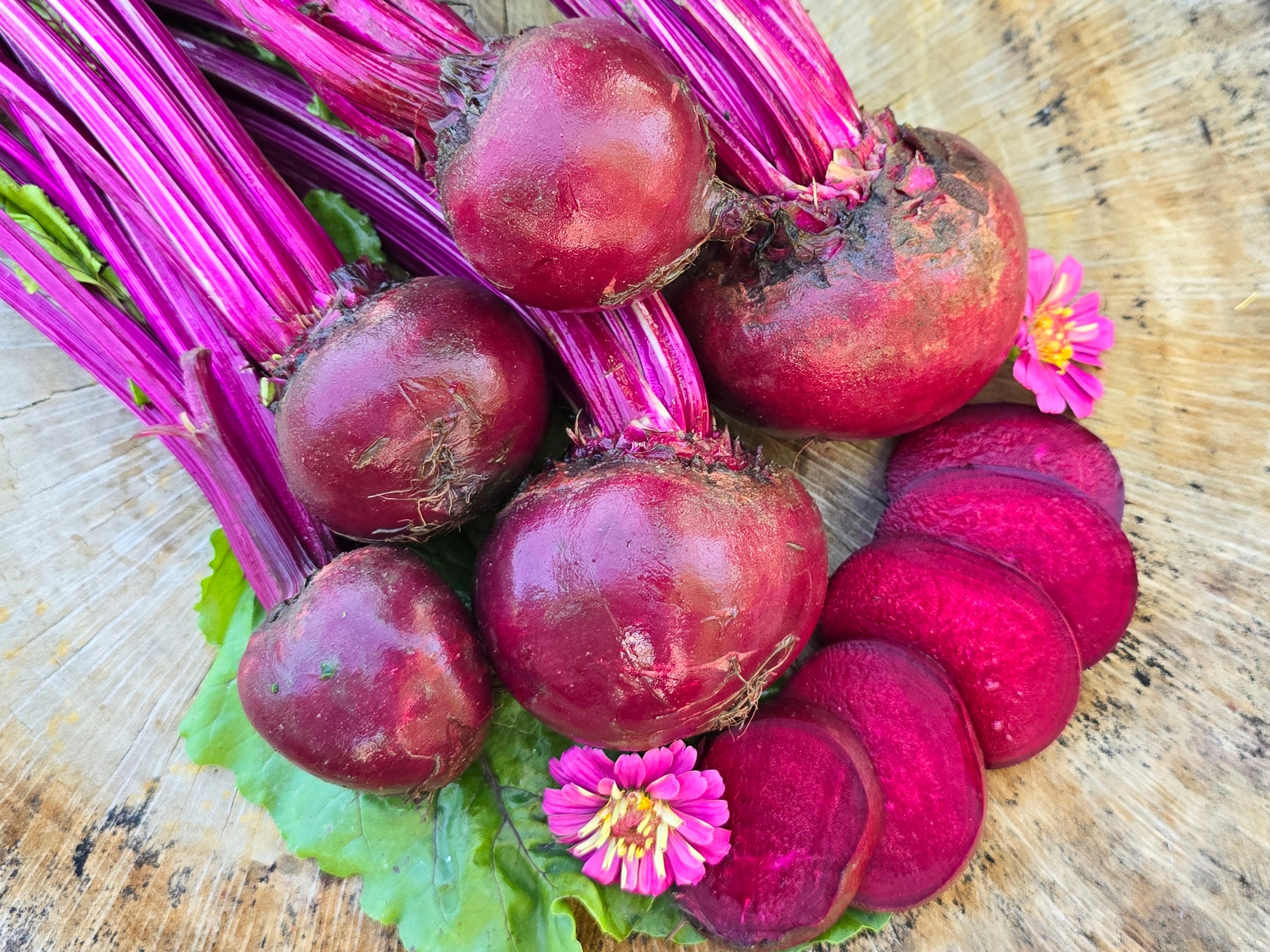 Detroit Dark Red Beet Seeds – Heirloom Favorite – Jerra's Garden