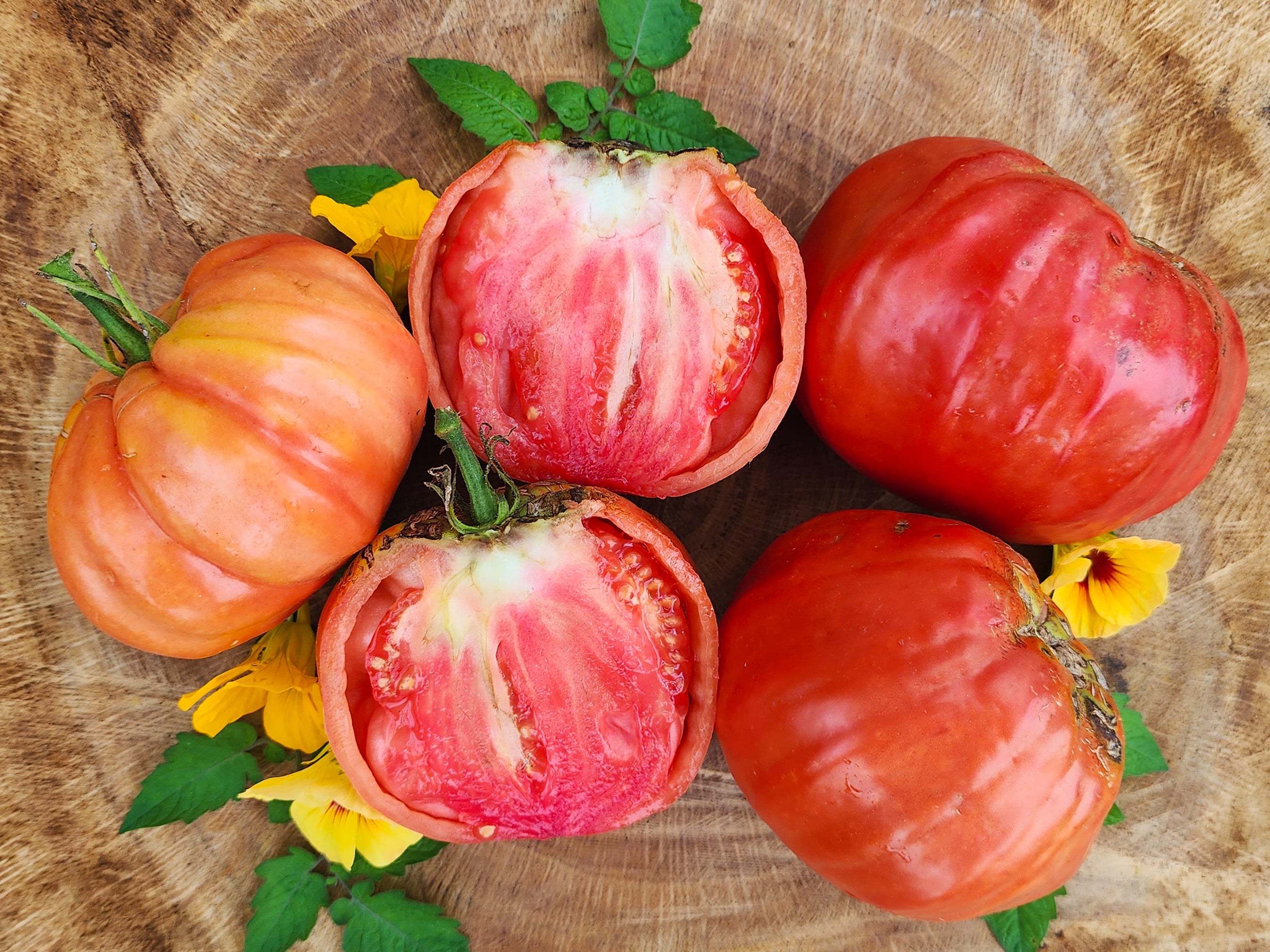 Giant Nono – Heirloom Italian Sauce Tomato Seeds – Jerra's Garden