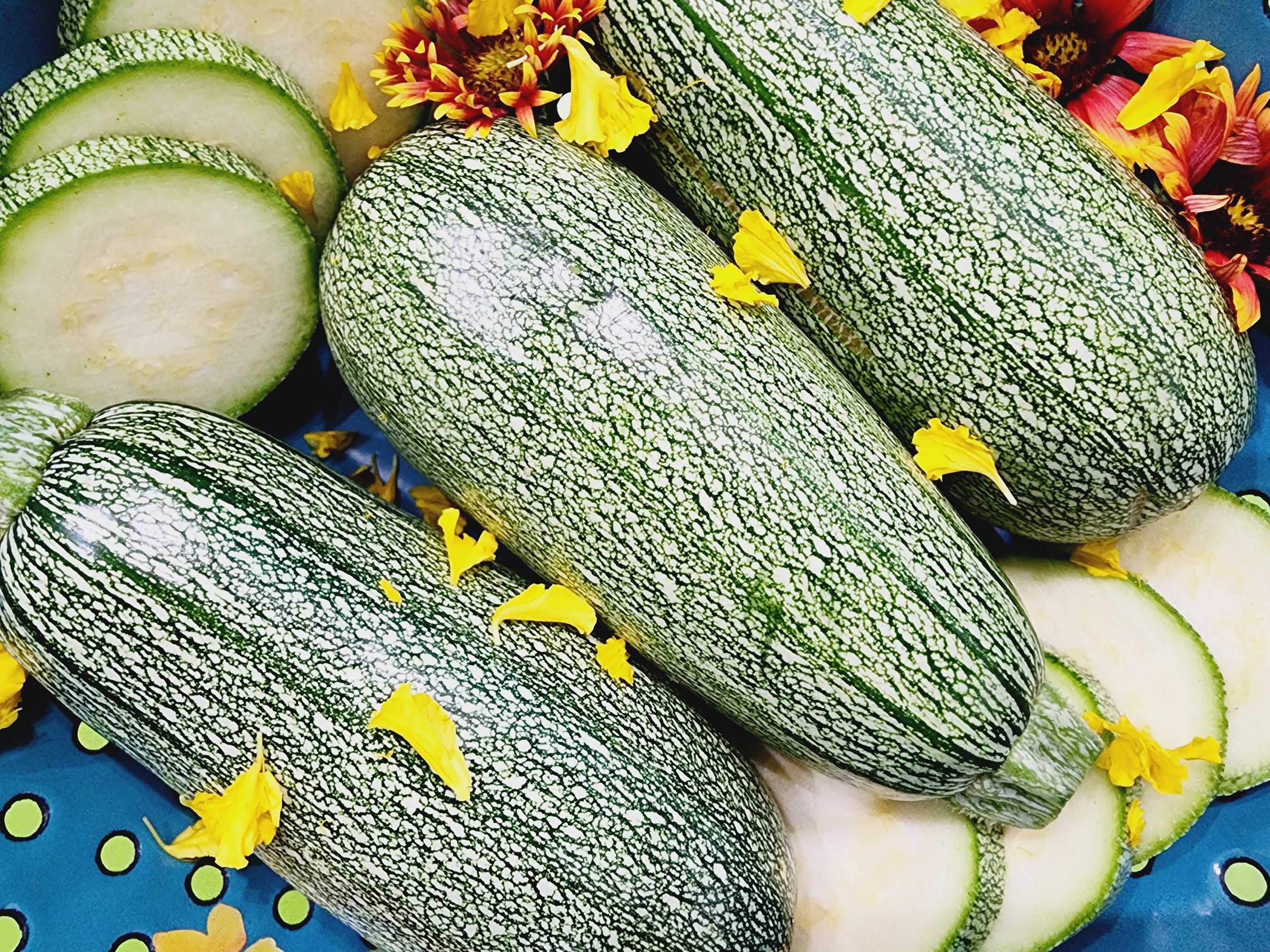Grey Zucchini – Heirloom Heat-Tolerant Summer Squash – Jerra's Garden