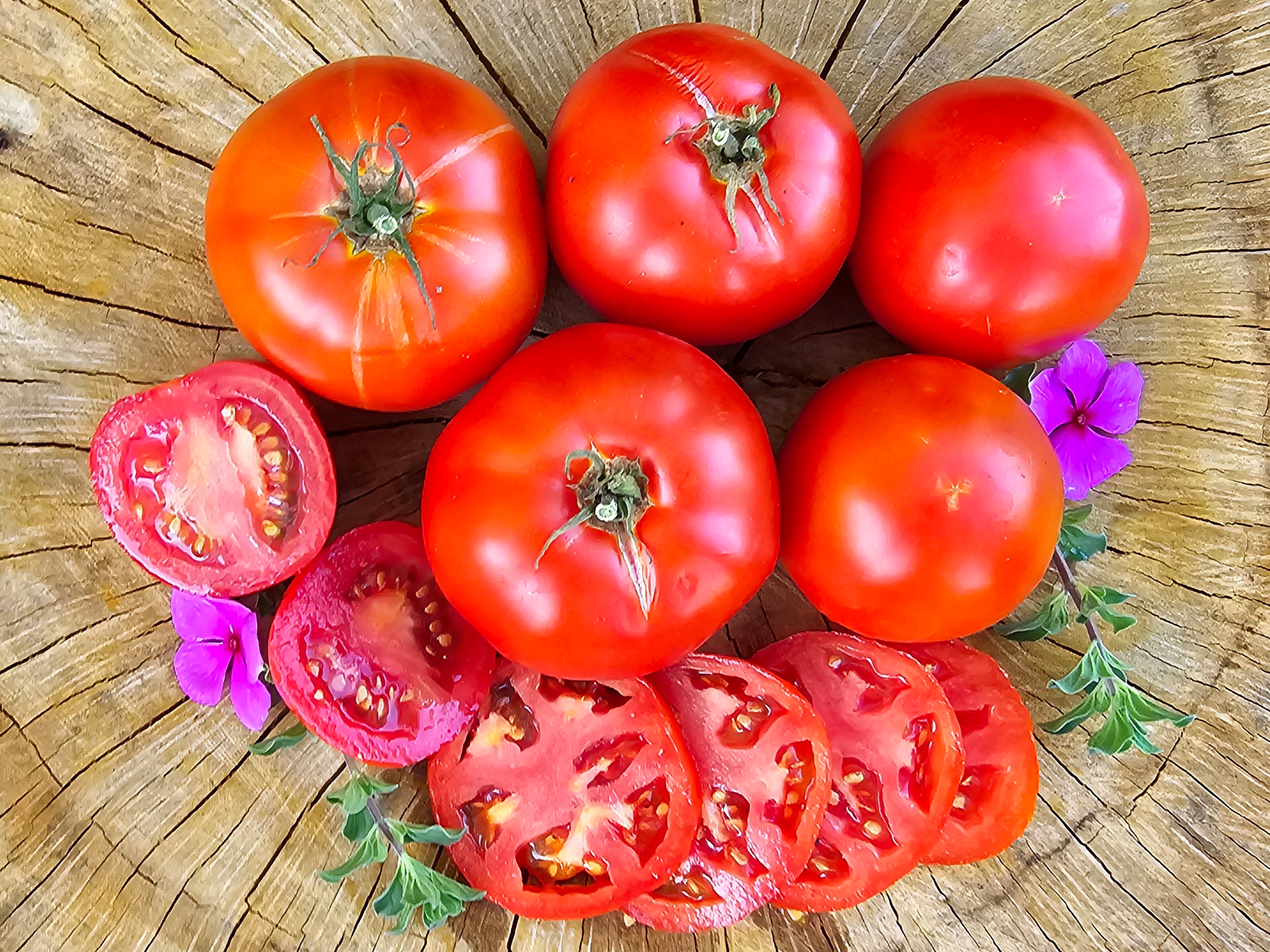 Marglobe Tomato Seeds – Heirloom, Heat & Crack Resistant – Jerra's Garden