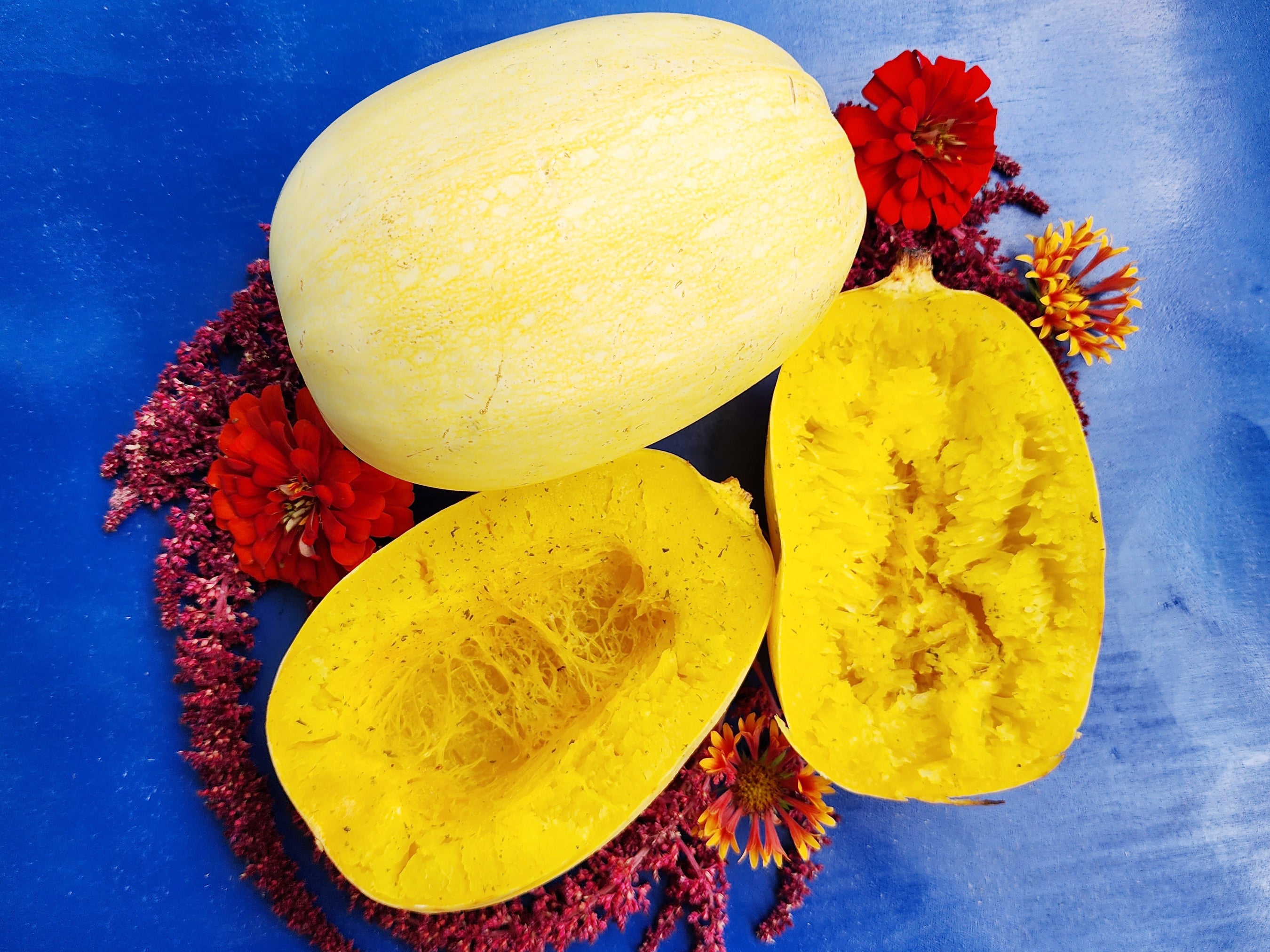Spaghetti Winter Squash – Low-Calorie Pasta Alternative – Jerra's Garden