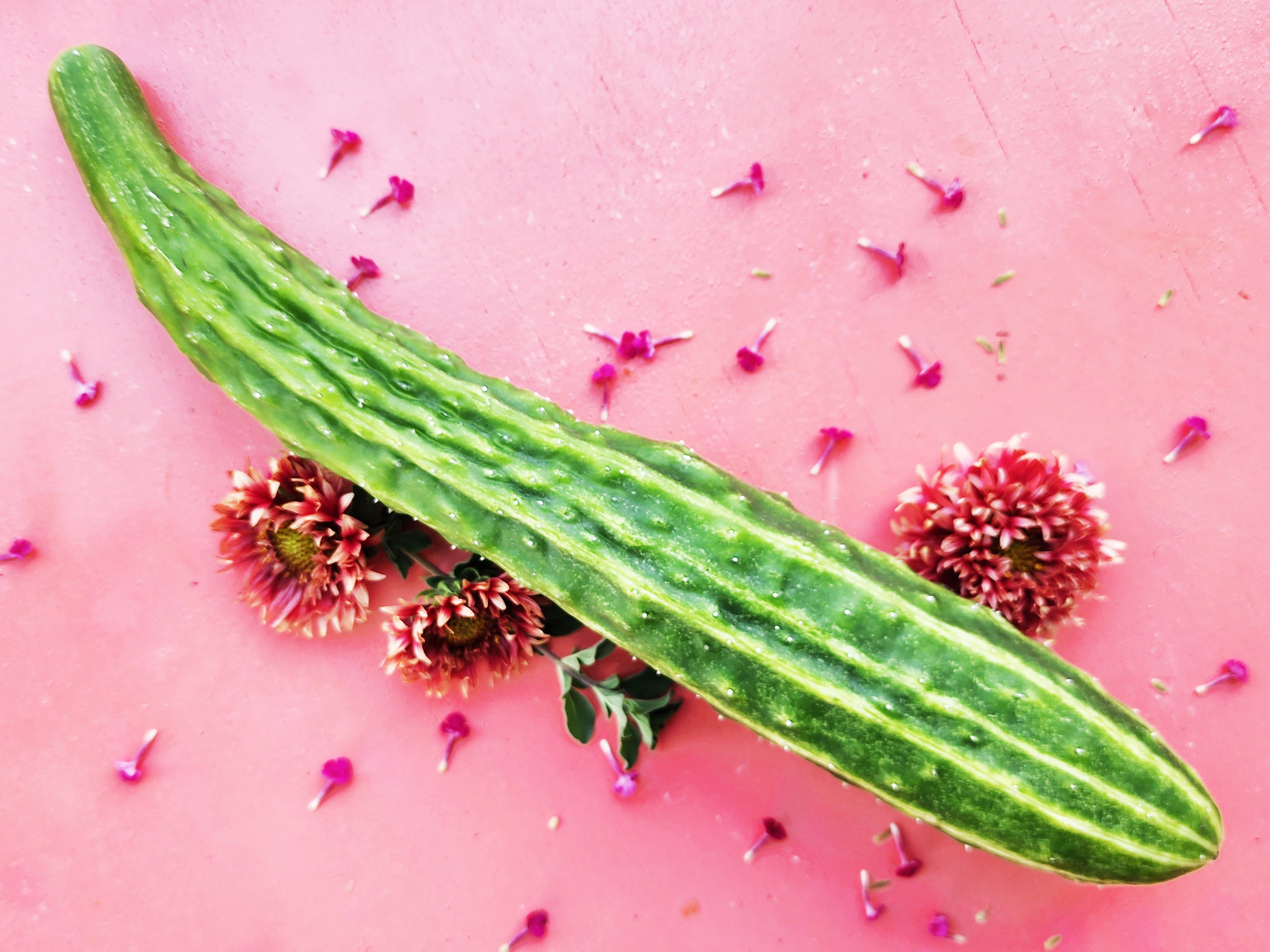 Suyo Long Cucumber – Heat-Tolerant, Crisp & Ribbed – Jerra's Garden