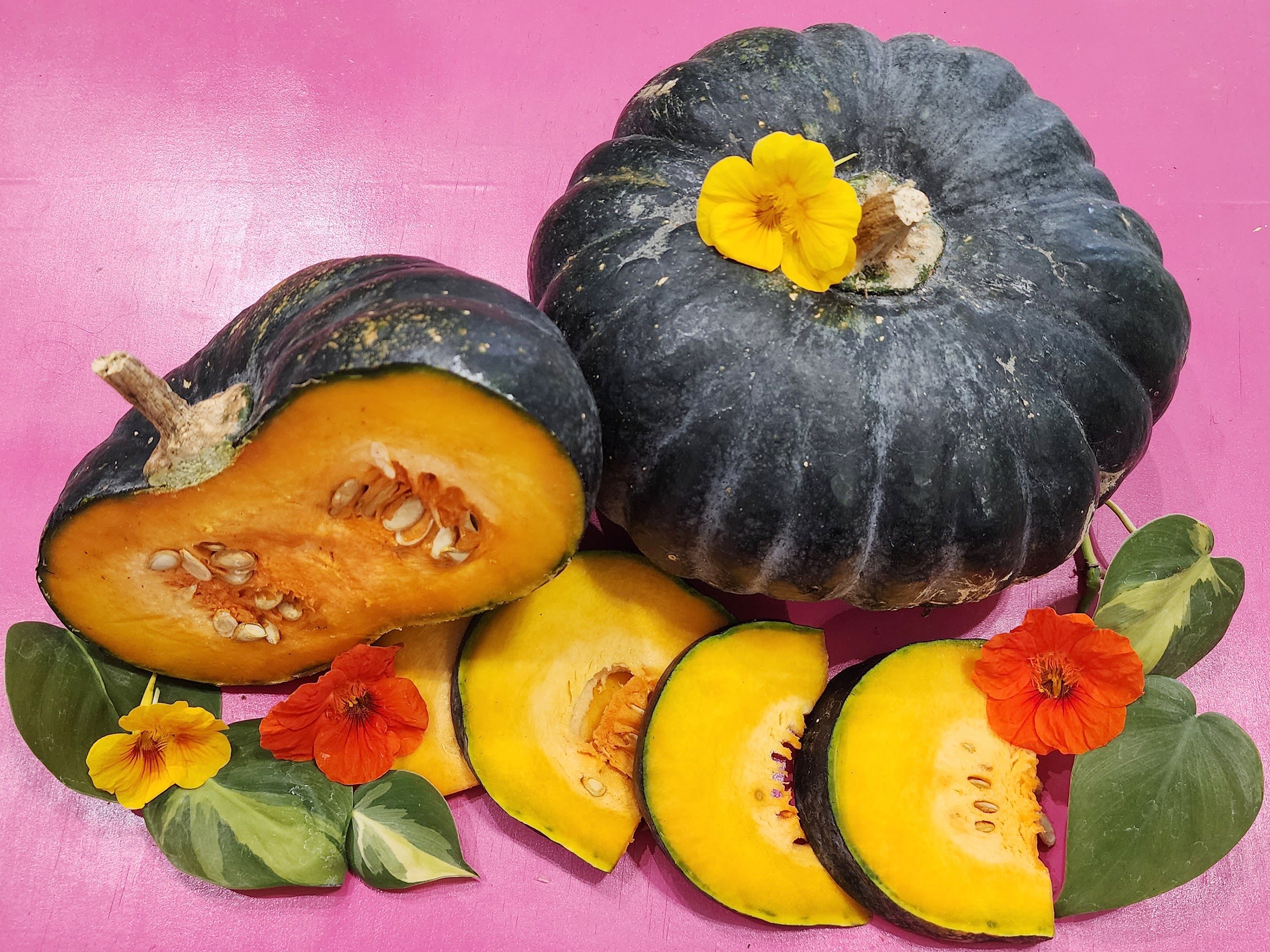 Calabaza Pumpkin – Caribbean Heirloom Winter Squash – Jerra's Garden