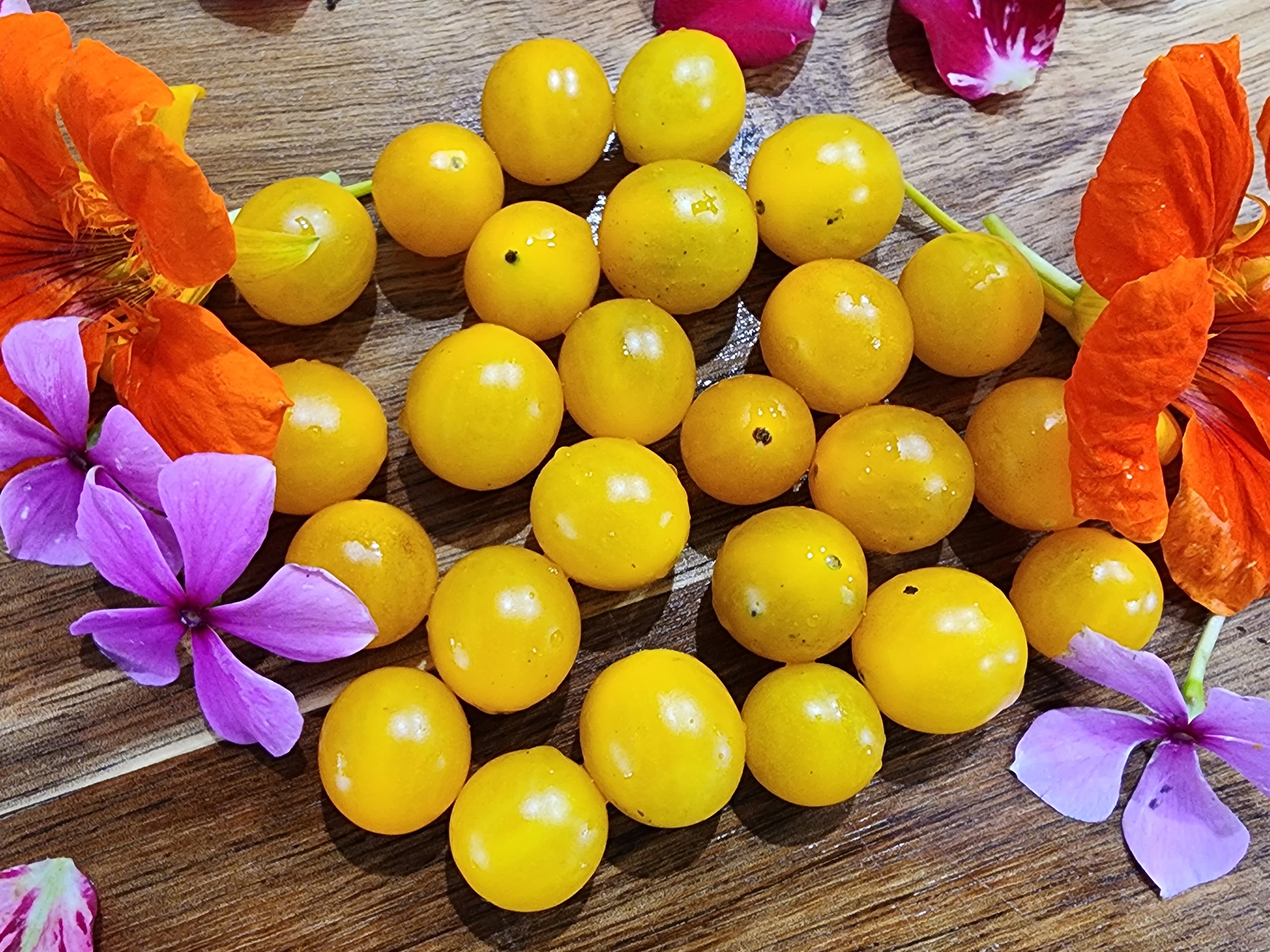 Galapagos Currant Tomato Seeds – Rare Yellow Wild Variety – Jerra's Garden